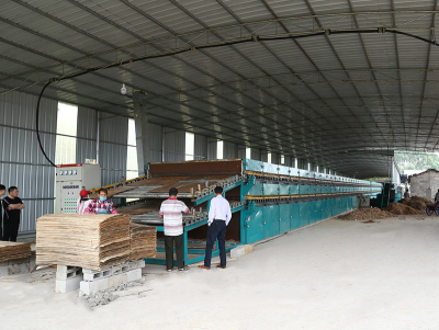 30 m 3 Deck Veneer Mesh Belt Dryer - Shine Machinery Co., Ltd