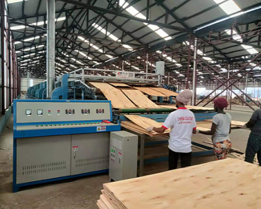 Wood Veneer Dryers, Veneer Dryer, Veneer Roller Rryer | Shine Machinery